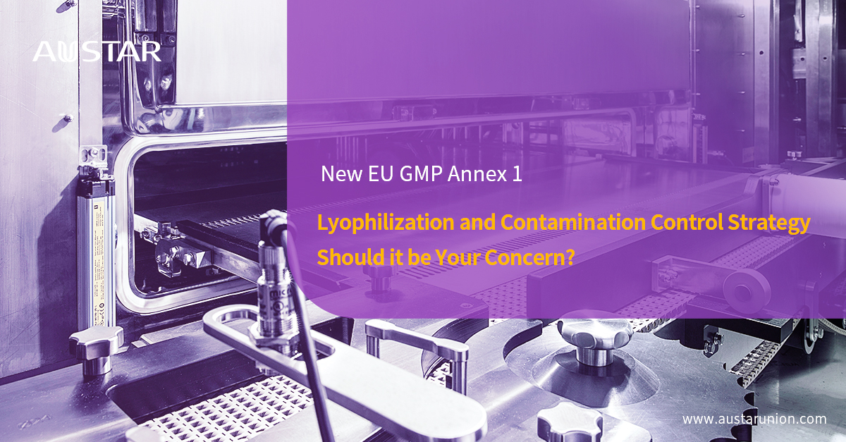New EU GMP Annex 1;Lyophilization and Contamination Control Strategy ...